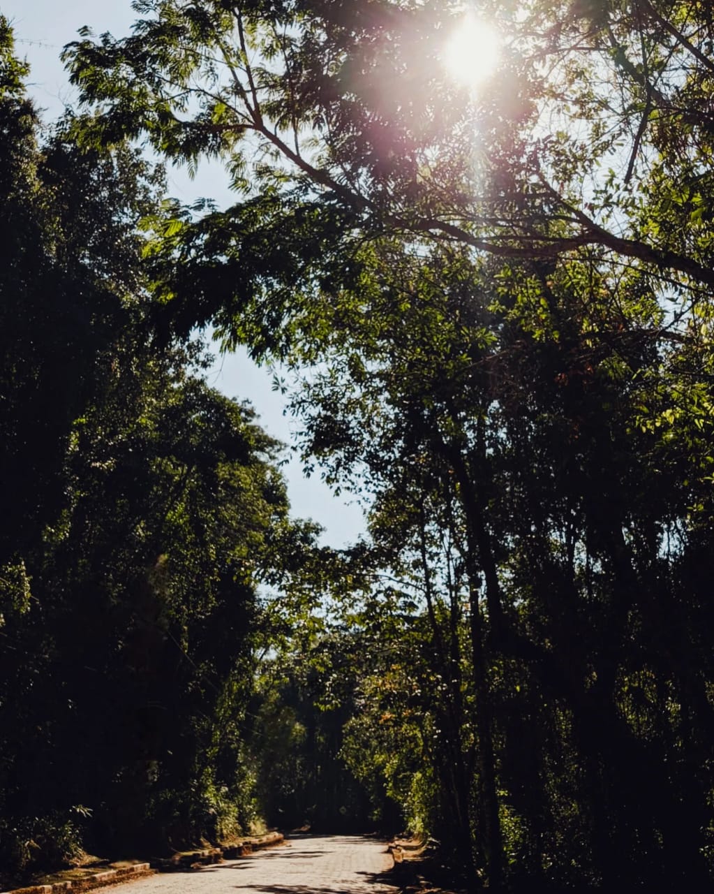 Sobre Nós – Mirol